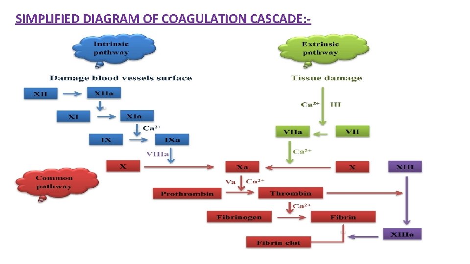 Approach to Bleeding Disorders Dr Arvind gupta Assistant
