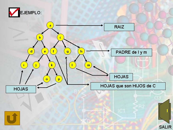 INTRODUCCION GRAFOS DIGRAFOS RBOLES SALIR TEORIA DE GRAFOS