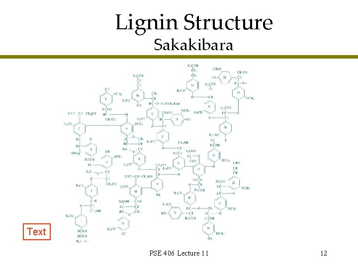 Wood Chemistry PSE 406 Lecture 11 Lignin Structure