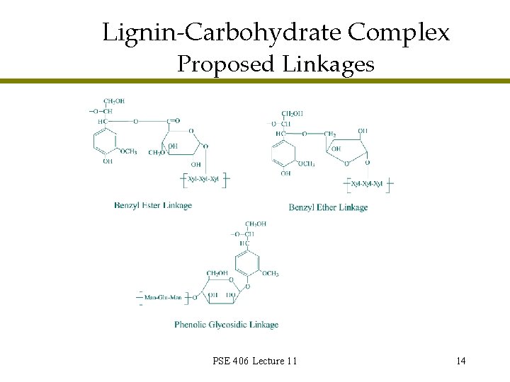 Wood Chemistry PSE 406 Lecture 11 Lignin Structure