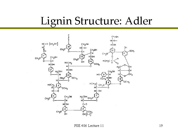 Wood Chemistry PSE 406 Lecture 11 Lignin Structure