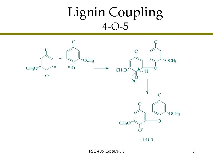 Wood Chemistry PSE 406 Lecture 11 Lignin Structure