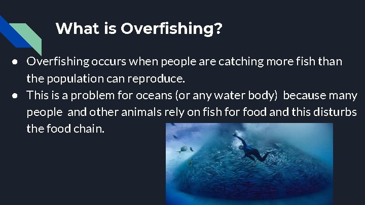 Overfishing By Julia Carly and Catherine What is