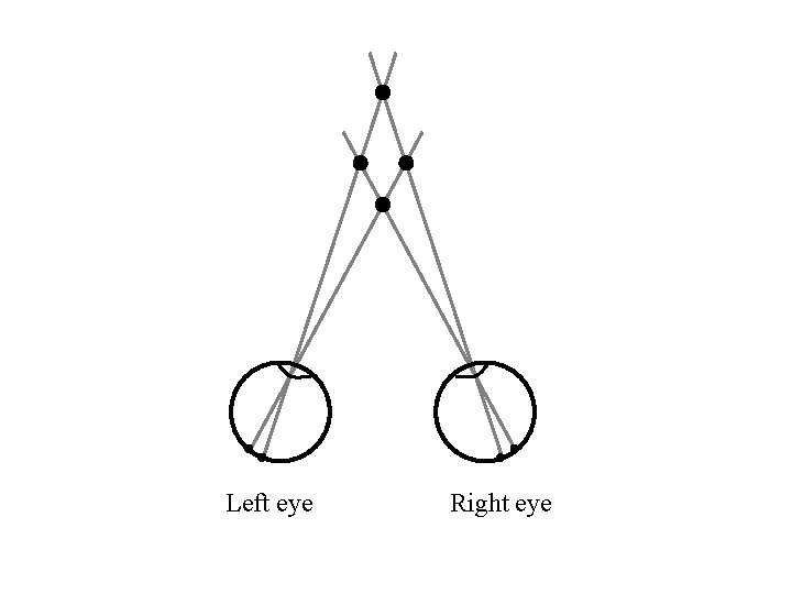 Nervous System Sensory inputs light sound skin pressure
