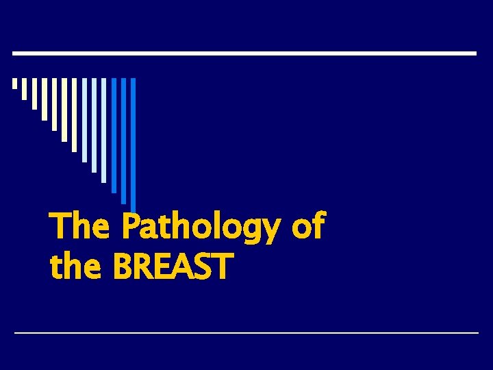 The Pathology of the BREAST Anatomy Physiology o