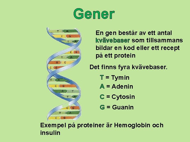 GENETIK RFTLIGHETSLRA lran om det biologiska arvet Genetikens