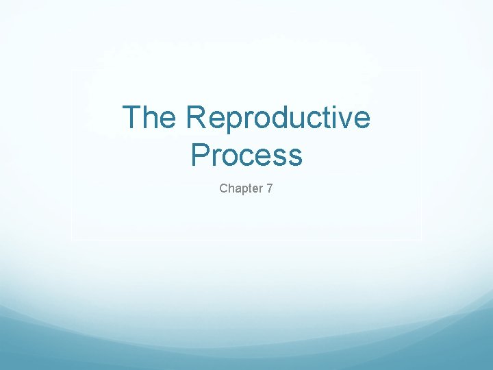 The Reproductive Process Chapter 7 Reproduction is one