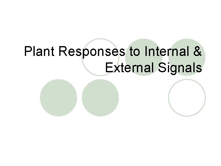 Plant Responses to Internal External Signals Plant Hormones