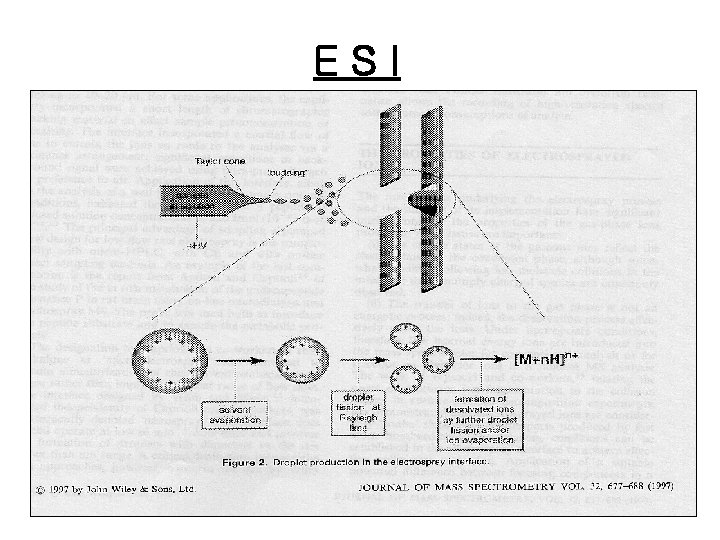 MSbased methods for protein identification phosphorylation site analysis