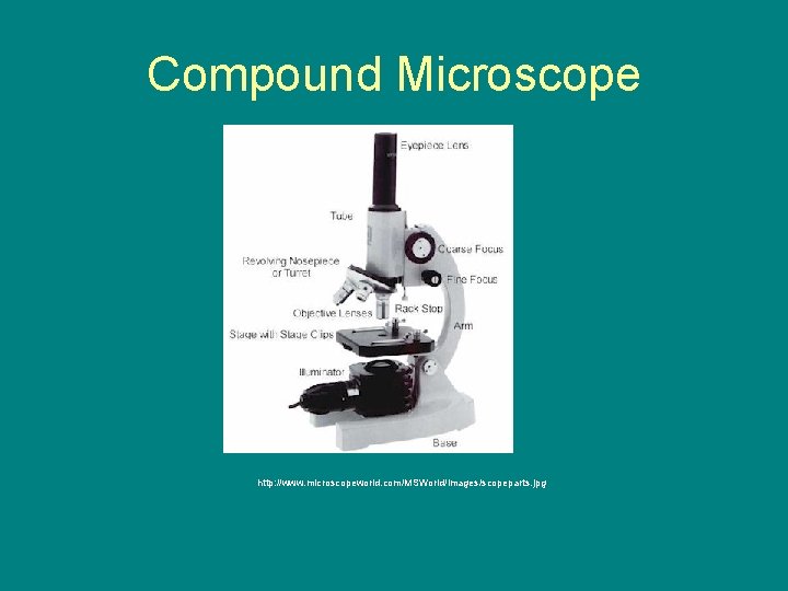 Physical Evidence Hair Fibers Glass Mrs Schultz Types