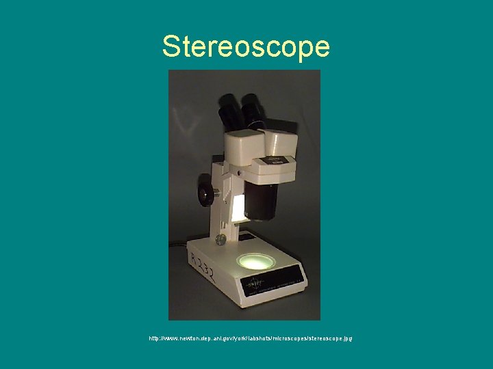 Physical Evidence Hair Fibers Glass Mrs Schultz Types