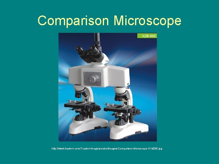 Physical Evidence Hair Fibers Glass Mrs Schultz Types