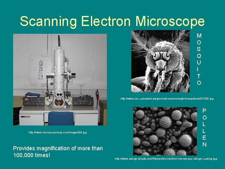 Physical Evidence Hair Fibers Glass Mrs Schultz Types