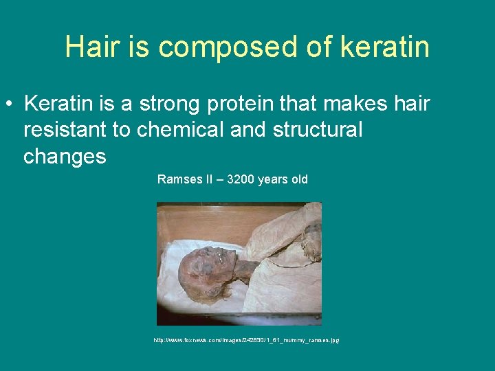 Physical Evidence Hair Fibers Glass Mrs Schultz Types