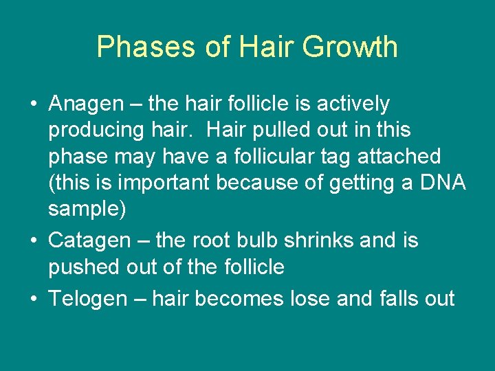 Physical Evidence Hair Fibers Glass Mrs Schultz Types