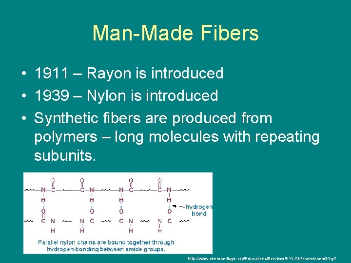 Physical Evidence Hair Fibers Glass Mrs Schultz Types