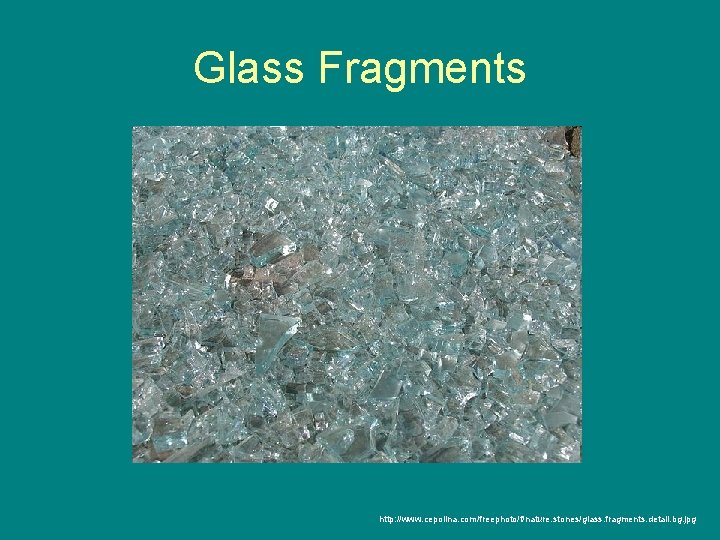 Physical Evidence Hair Fibers Glass Mrs Schultz Types