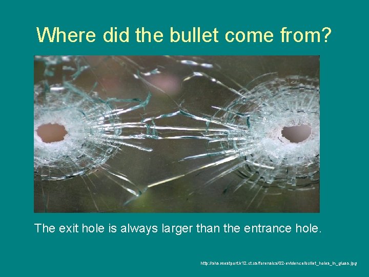 Physical Evidence Hair Fibers Glass Mrs Schultz Types