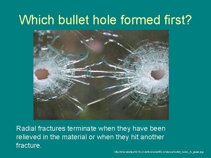 Physical Evidence Hair Fibers Glass Mrs Schultz Types