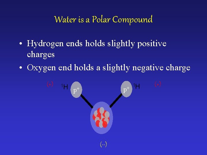 Water p H and Biological Molecules Whats so