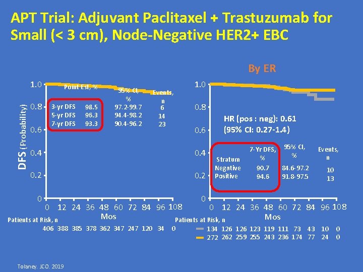 Therapeutic approach to HER 2 breast cancer in