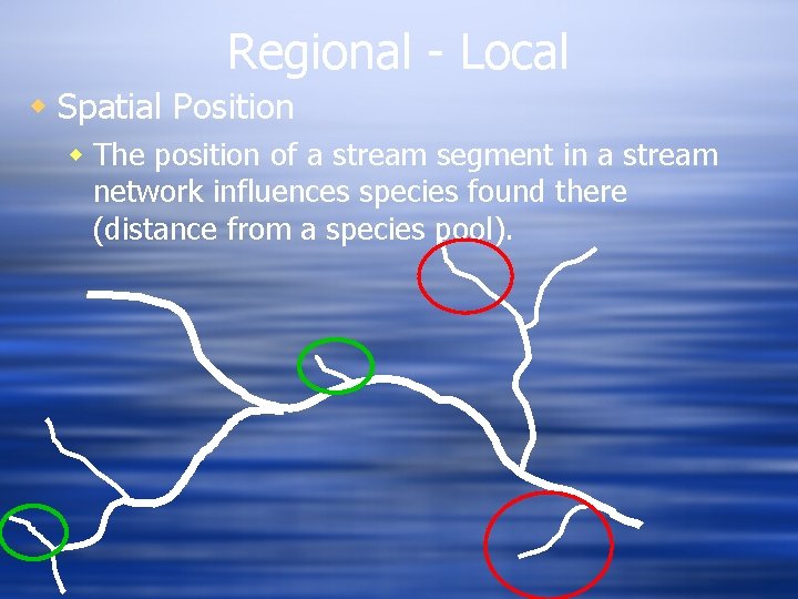 Zoogeography of Fishes Zoogeography of Fishes w Patterns