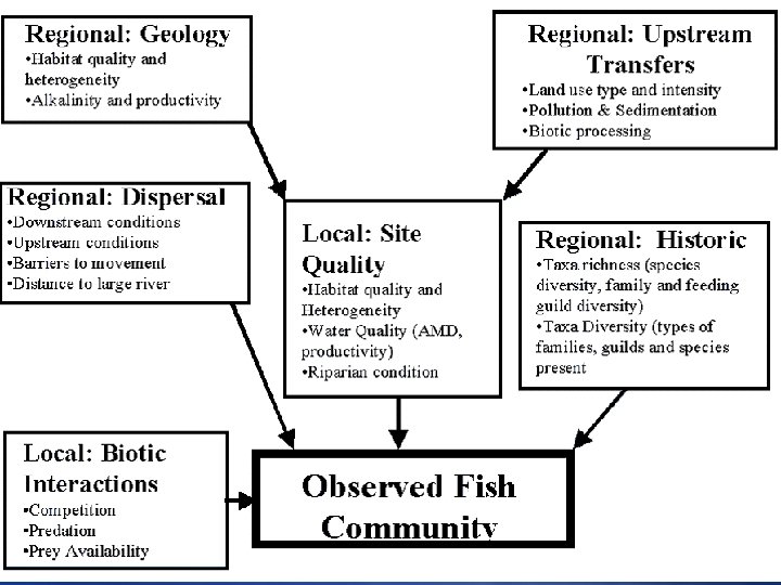 Zoogeography of Fishes Zoogeography of Fishes w Patterns