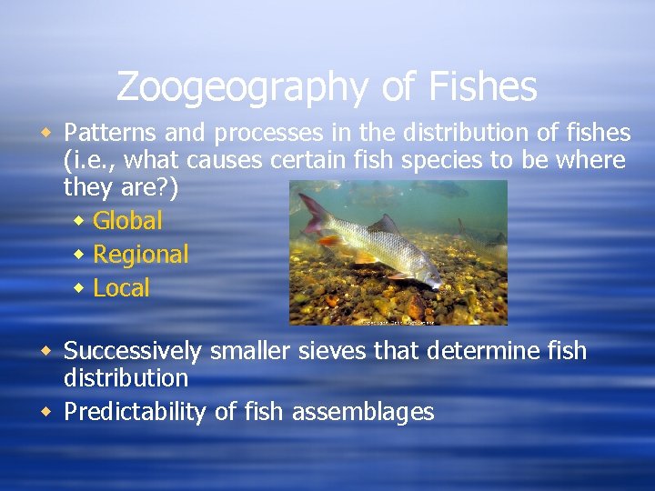 Zoogeography of Fishes Zoogeography of Fishes w Patterns