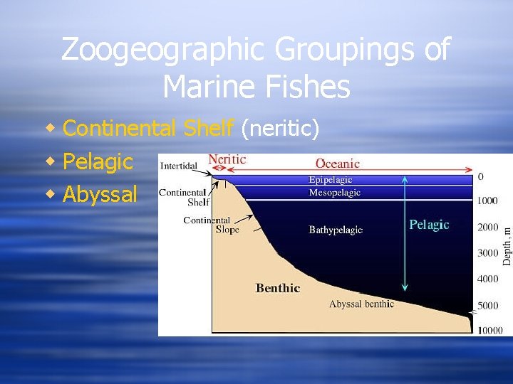 Zoogeography of Fishes Zoogeography of Fishes w Patterns