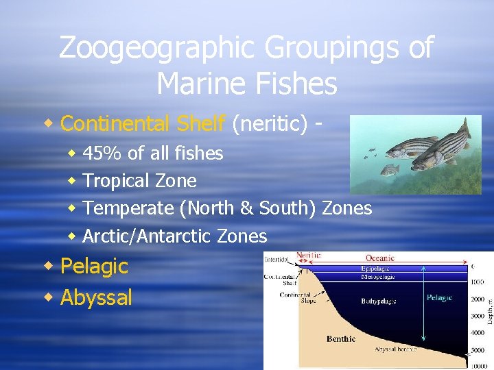 Zoogeography of Fishes Zoogeography of Fishes w Patterns