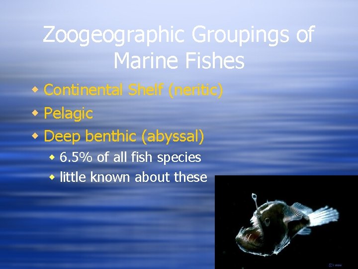 Zoogeography of Fishes Zoogeography of Fishes w Patterns