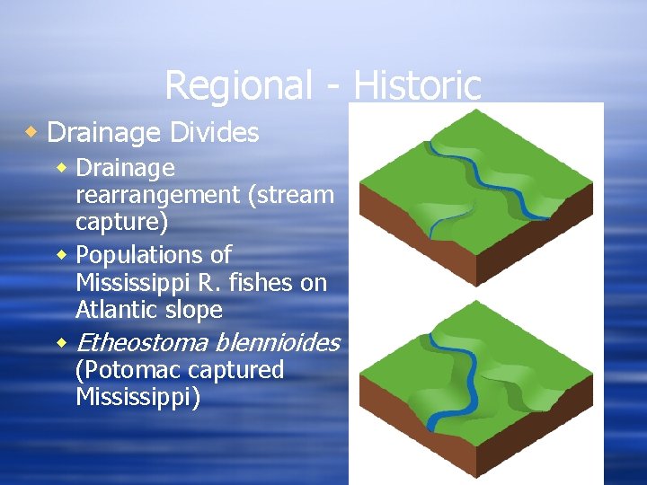 Zoogeography of Fishes Zoogeography of Fishes w Patterns