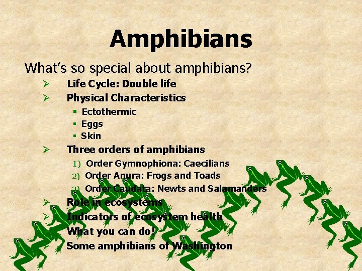 AMPHIBIANS Amphibians Whats so special about amphibians Life
