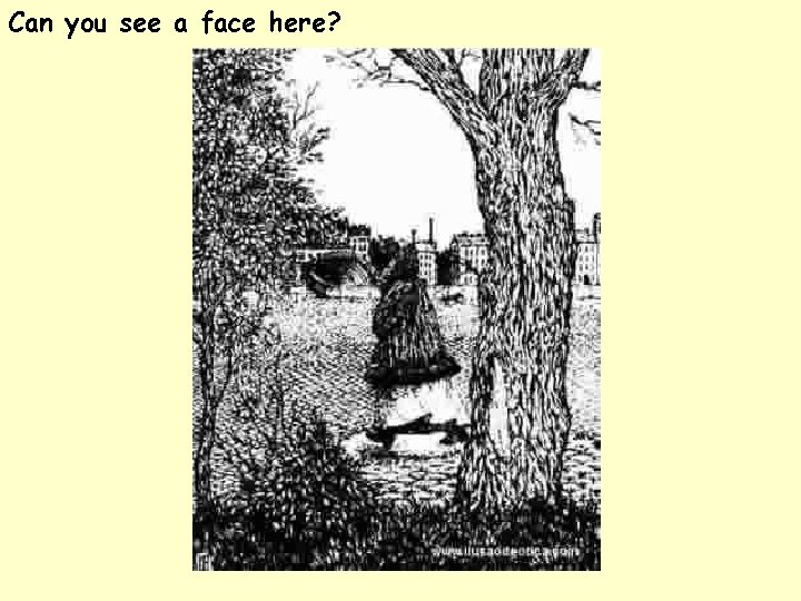 The capabilities of the human brain Hope you