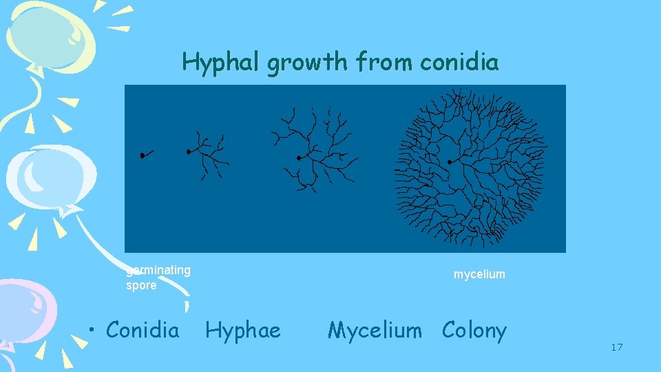 Diagnosis of superfacial and cutaneous mycoses Presented by