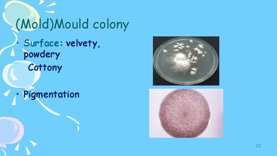 Diagnosis of superfacial and cutaneous mycoses Presented by