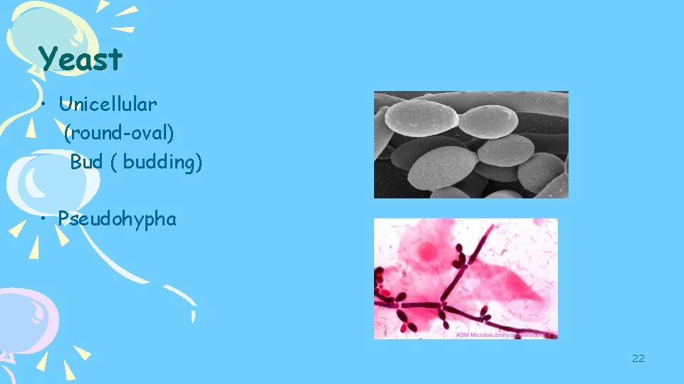 Diagnosis of superfacial and cutaneous mycoses Presented by