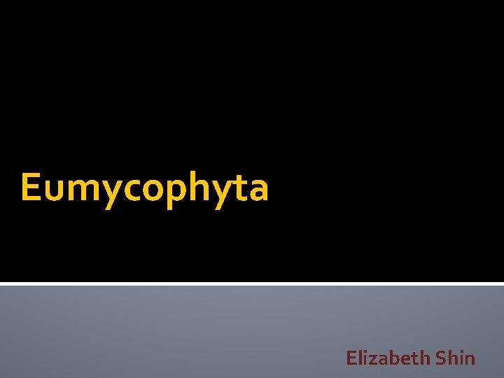 Eumycophyta Elizabeth Shin Basics Phylum in Kingdom Fungi