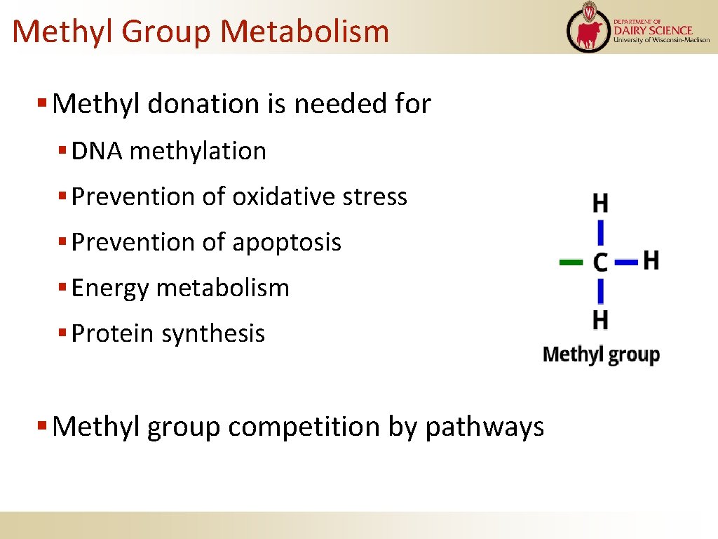 Methyldonors choline and methionine differentially alter hepatic carbon