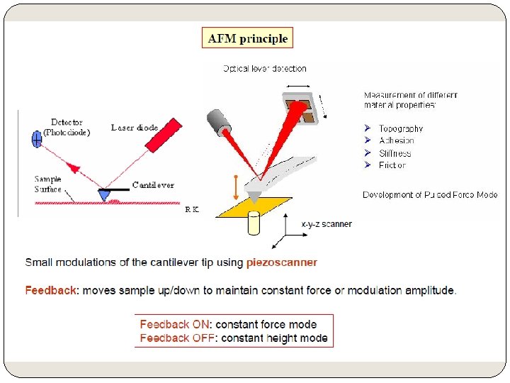 Atomic force microscopy AFM Introduction AFM merupakan peralatan