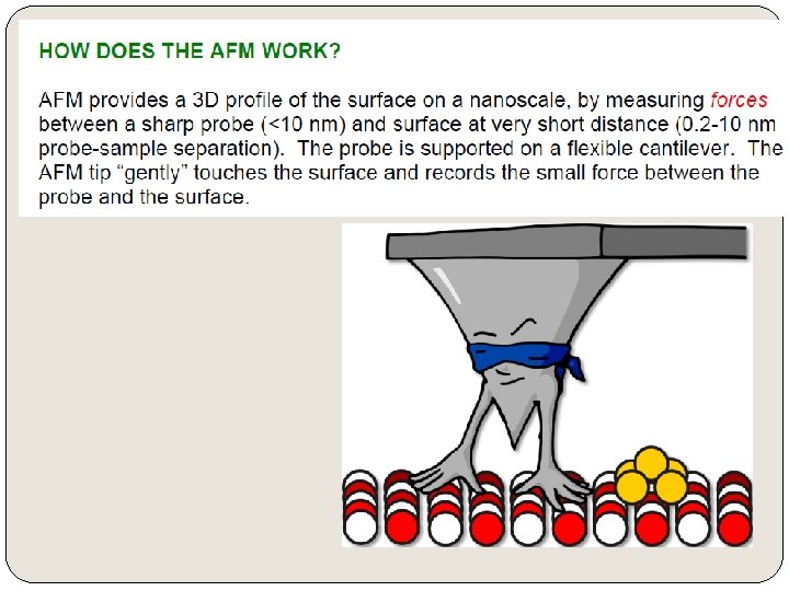 Atomic force microscopy AFM Introduction AFM merupakan peralatan