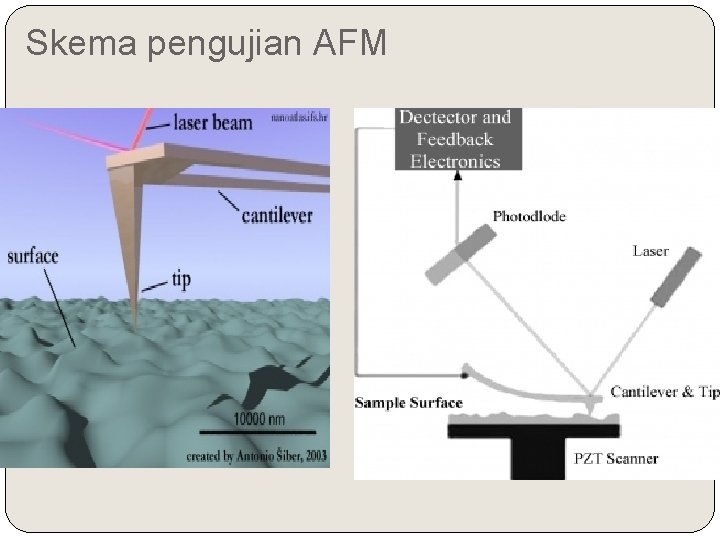 Atomic force microscopy AFM Introduction AFM merupakan peralatan