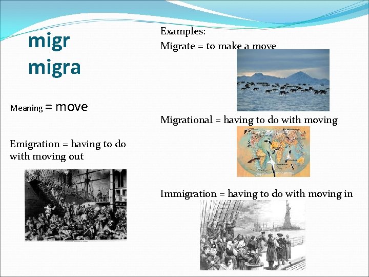 Word Dissection Lesson 20 Make a flashcard for