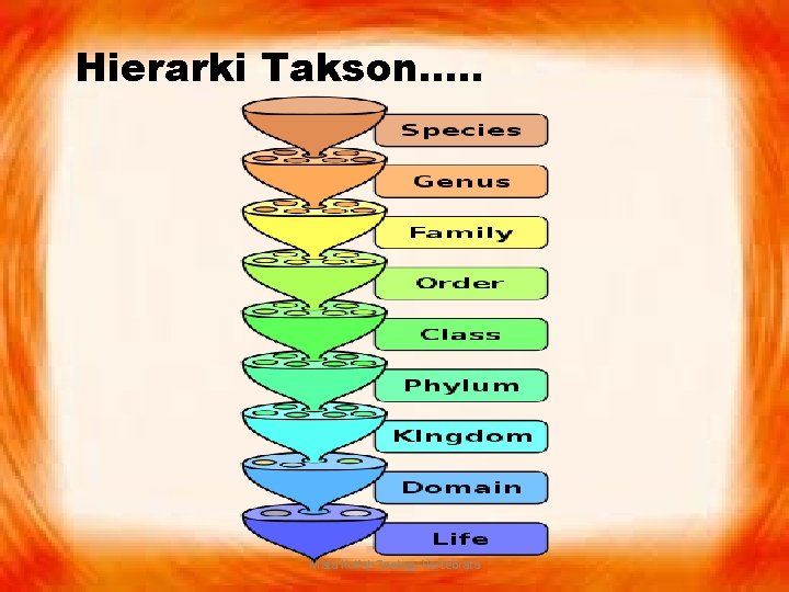 Mata Kuliah Zoology Vertebrata Dasar Taksonomi dan Nomenklatur