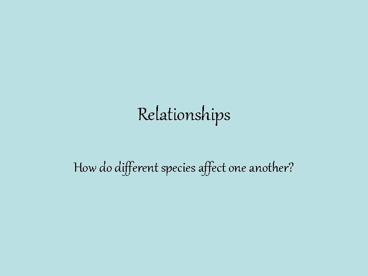 Relationships How do different species affect one another