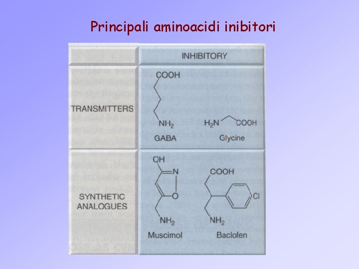 Principali aminoacidi inibitori PRINCIPALI CLASSI DI RECETTORI GABAERGICI