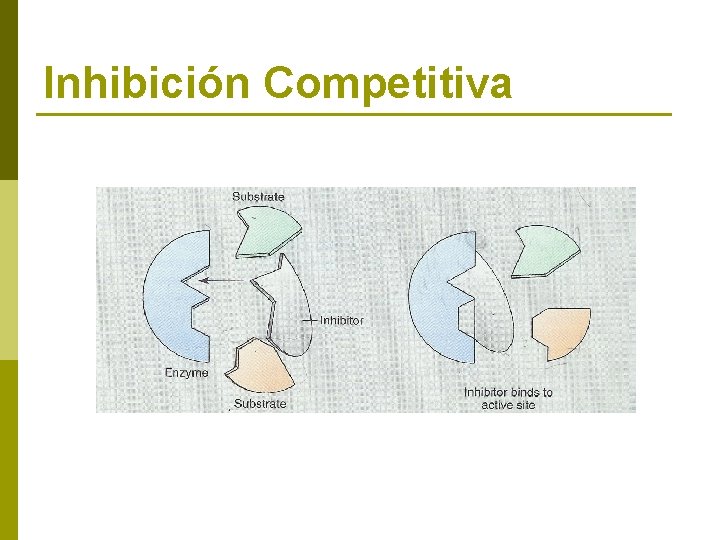 Laboratorio 4 Enzimas Objetivos p Definir qu es