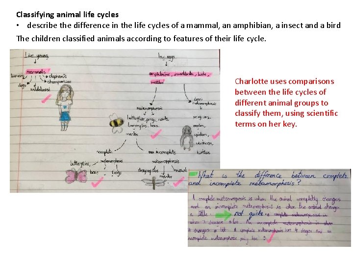 PLAN Primary Science Supporting Assessment Animals including Humans