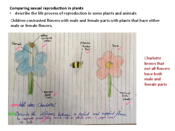 PLAN Primary Science Supporting Assessment Animals including Humans