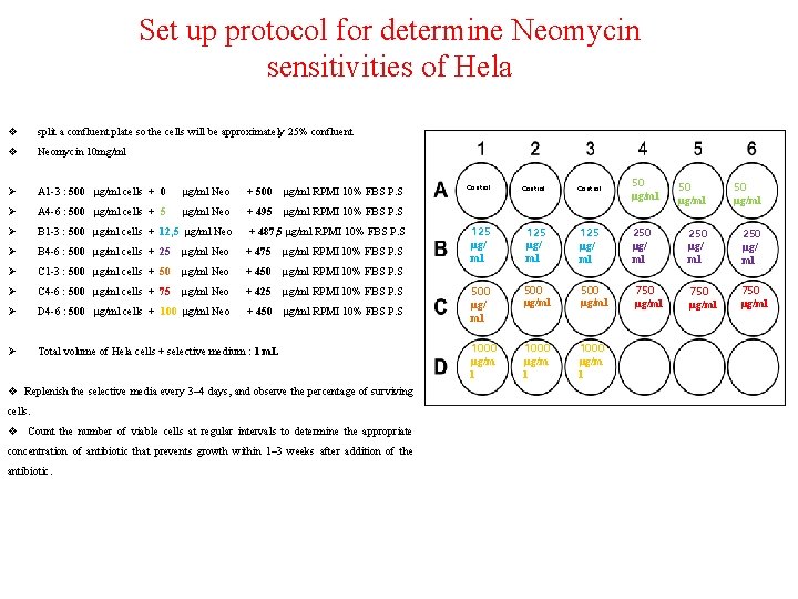 Lab Meeting 13 03 18 Select transformants on